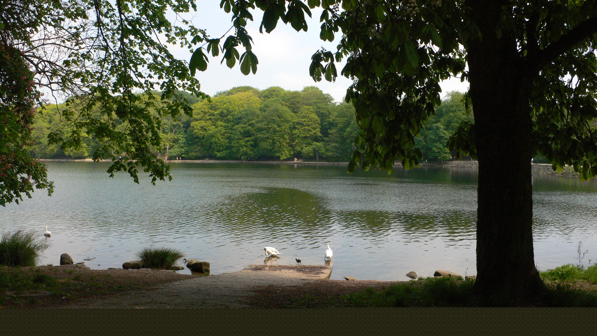 Roundhay Park - Visit Leeds
