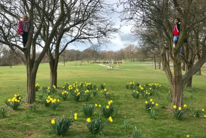 Beckett Park - Visit Leeds