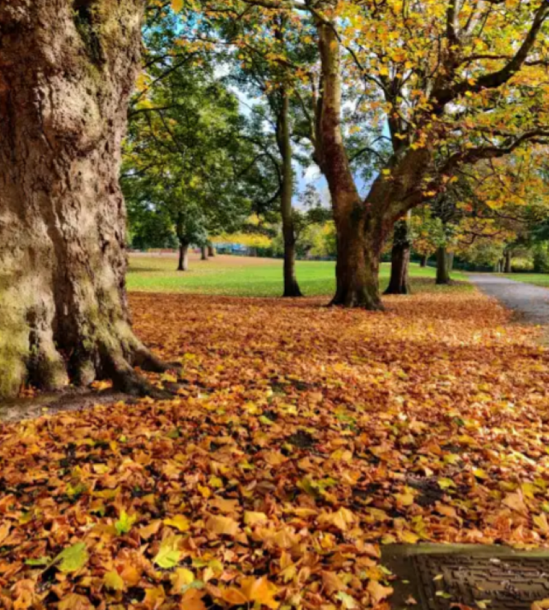Burley Park - Visit Leeds