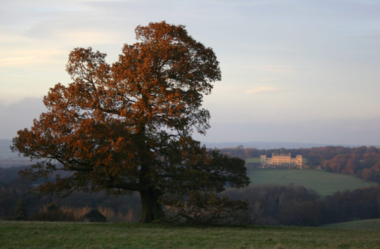 The best spots to embrace Autumn in Leeds - Visit Leeds