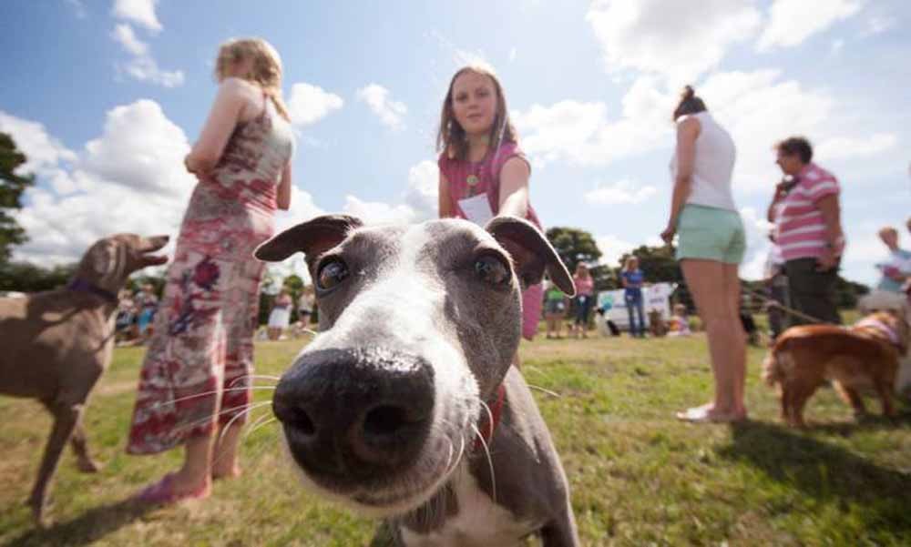 The Weeton Show - Visit Leeds